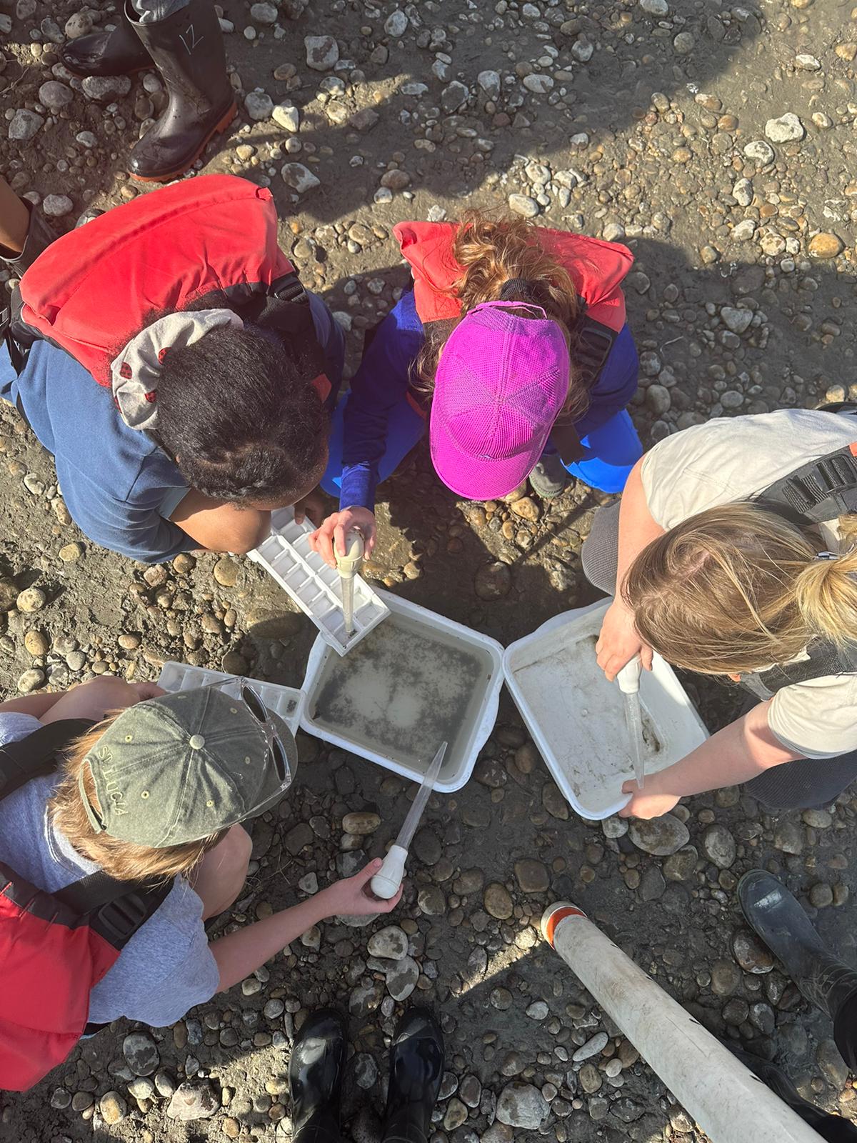 Summer Camps | Ages 12–14 | Guided River Adventures, Environmental STEM ...